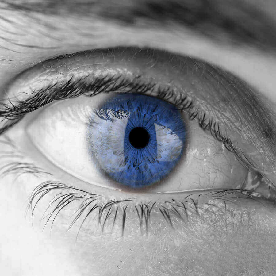 brillenhammer: Augenoptiker für perfekte Brillen & Kontaktlinsen